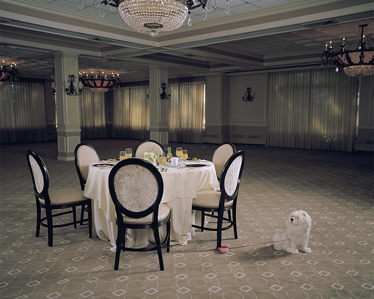 Life in Fiction – Jamie Diamond